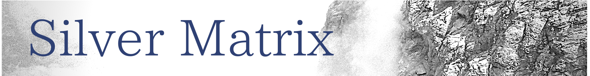 EP4その7 | Silver Matrix